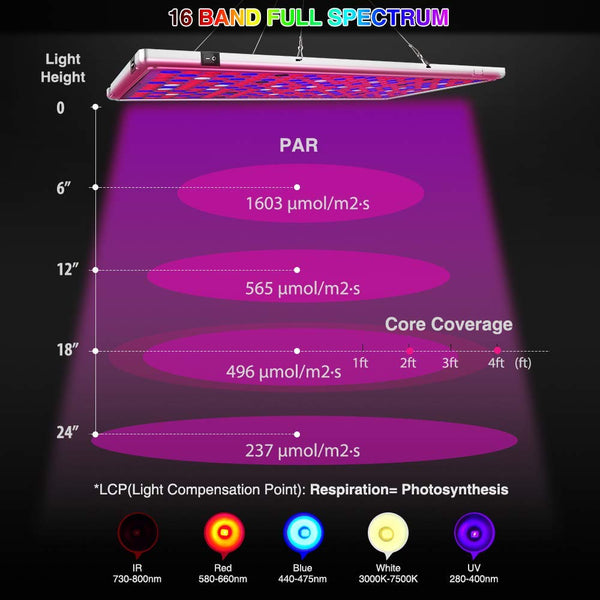 Best ECO Farm 300W Supplemental LED Grow Light for All Stages of Plant ...