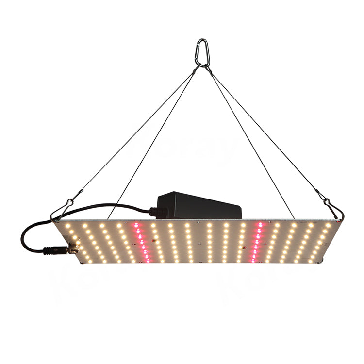 Eco Farm LED Quantum Board for Indoor Plants for Sale - GrowPackage.com