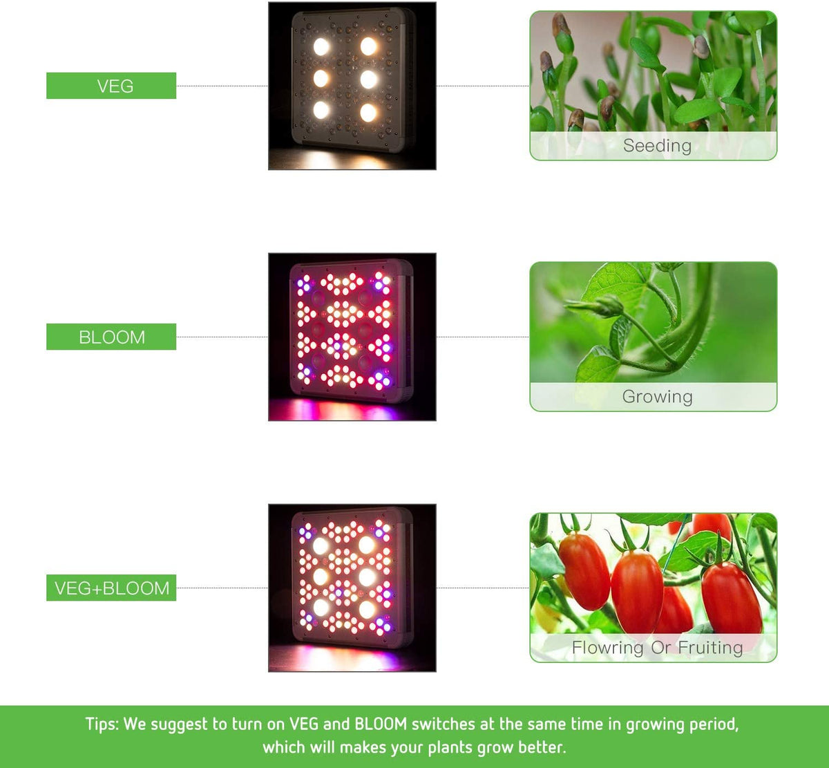 Best ECO Farm Cree COB 300W Full Spectrum Led Grow Light for Sale ...