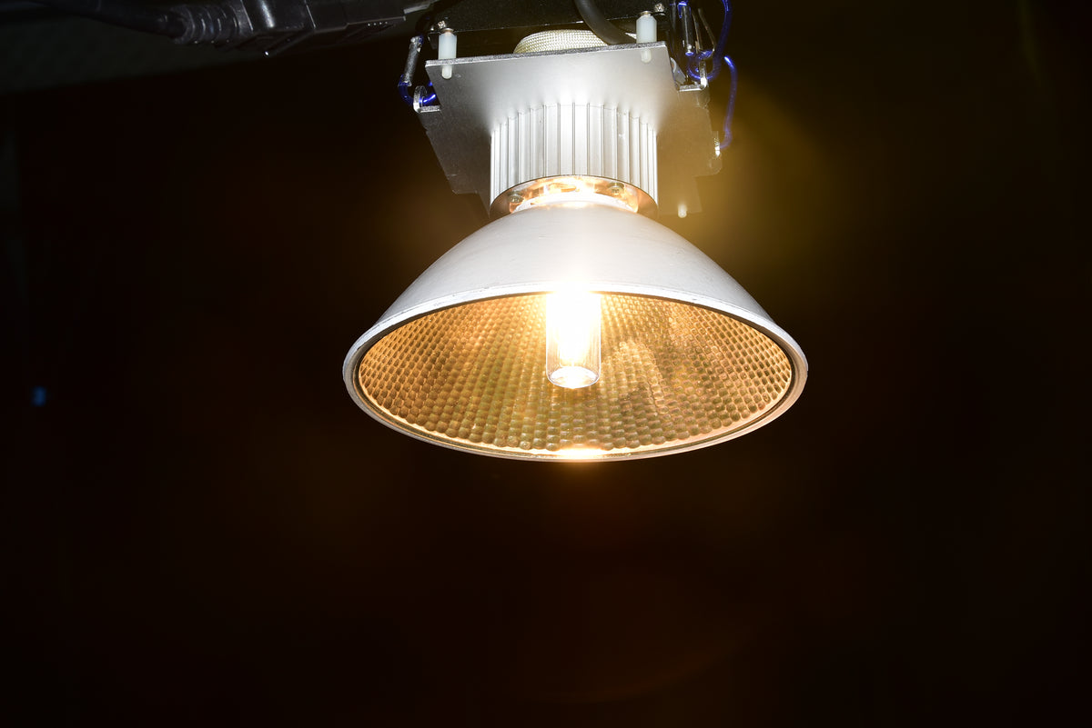 Eco Farm 150W CMH Grow Light Kit for Indoor Plants for Sale ...