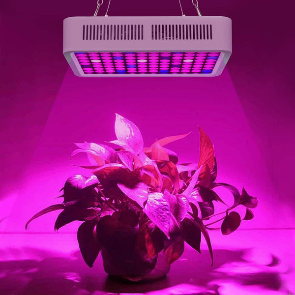 Roleadro LED Grow Light Full Spectrum Lamp for Indoor Plants ...