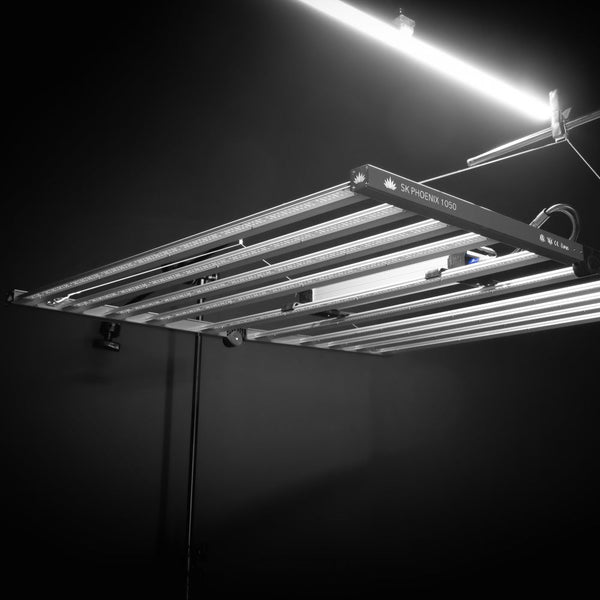 Best Spectrum King Phoenix 1050W LED Grow Light for Sale - GrowPackage.com